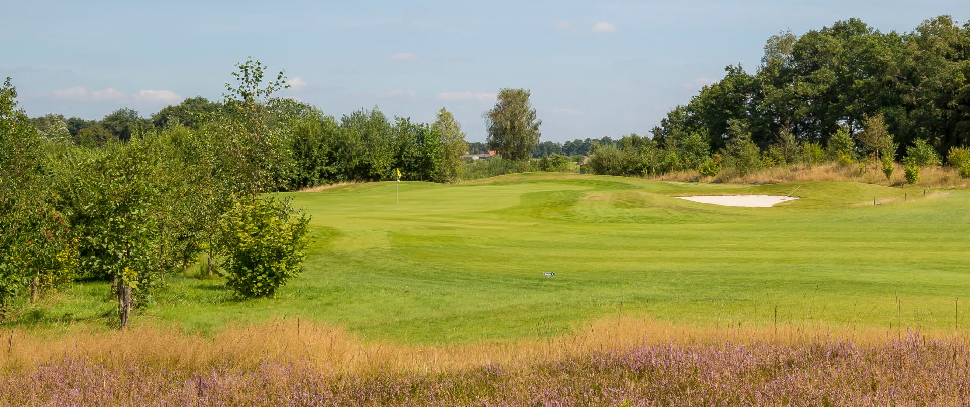 Golfen in de Peel - Golfbaan Het Woold